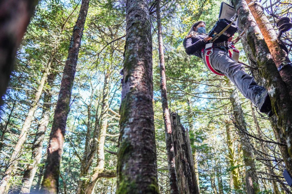 iBOL Europe – European node of the International Barcode of Life