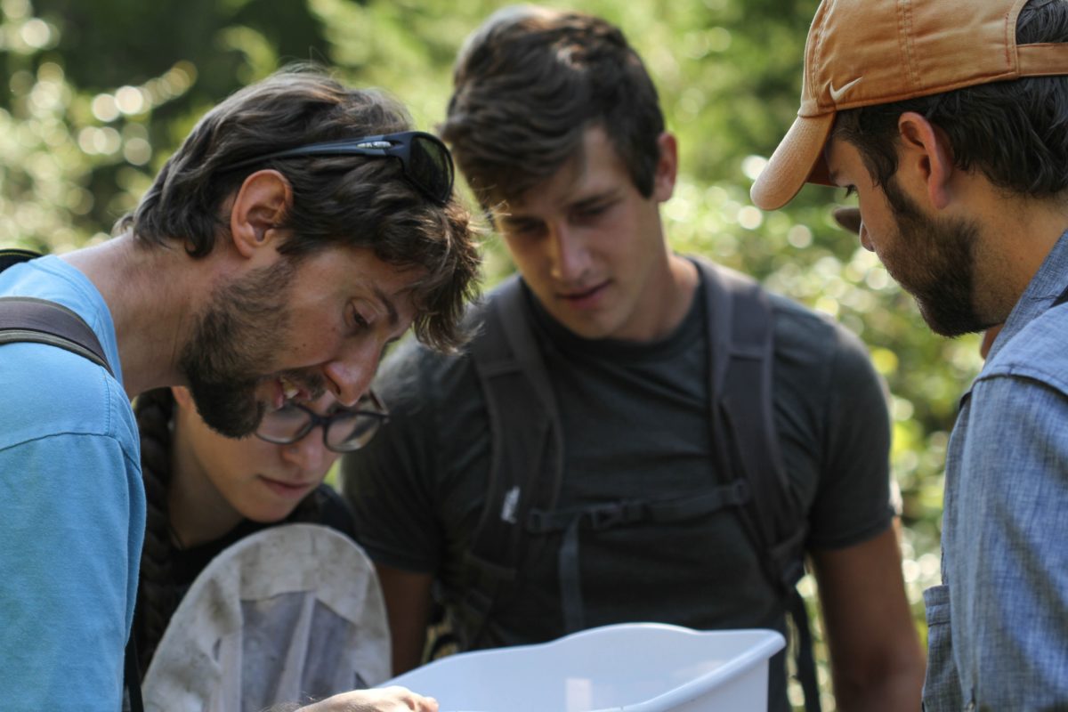 iBOL Europe – European node of the International Barcode of Life