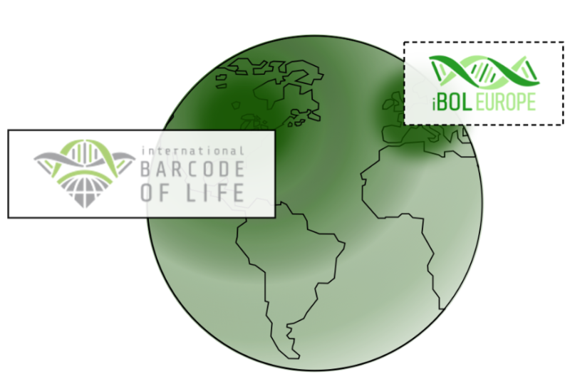 Welcome to iBOL Europe! – iBOL Europe