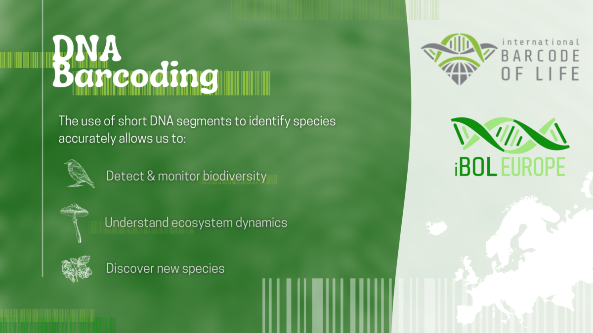 Connection #2: Meet iBOL Europe and ERGA – iBOL Europe